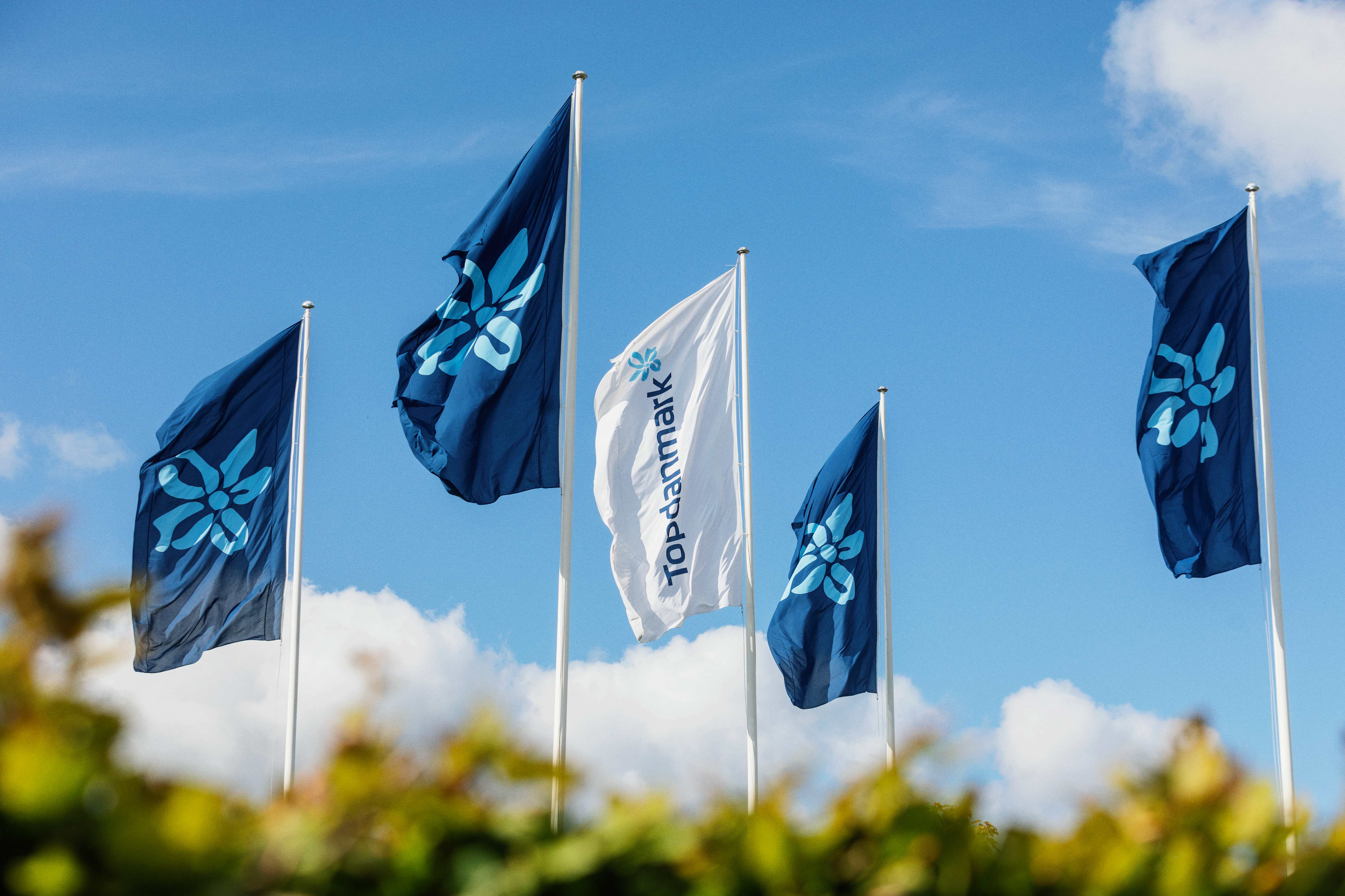 Jeg har ikke ændret noget: Hvorfor stiger min pris?