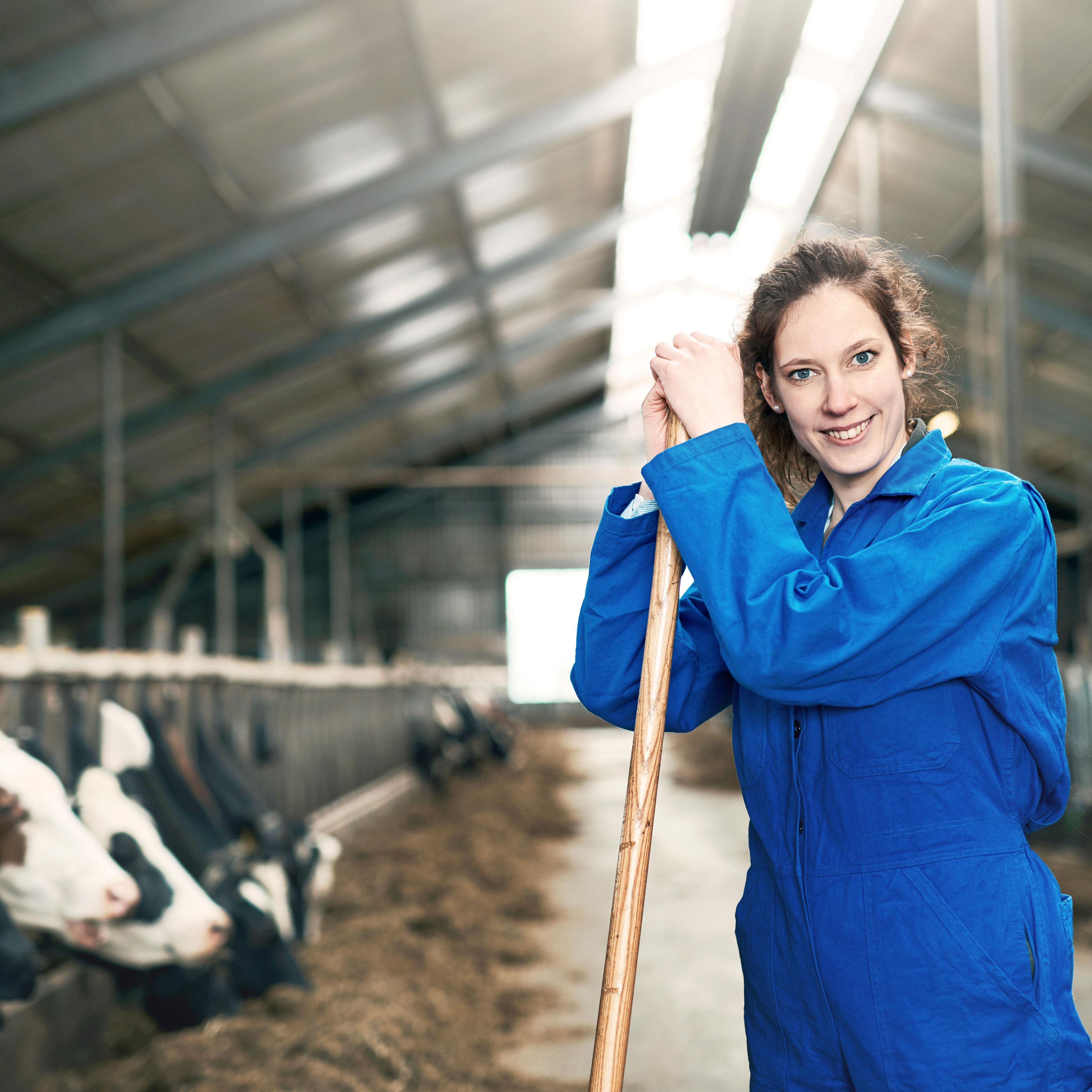 Arbejdsskadeforsikring - Lovpligtig til medarbejdere | [Topdanmark]